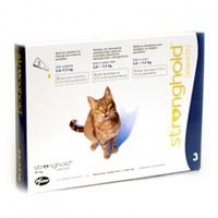 Goedkope vlooienpipetten, pipetten tegen vlooien voor de kat